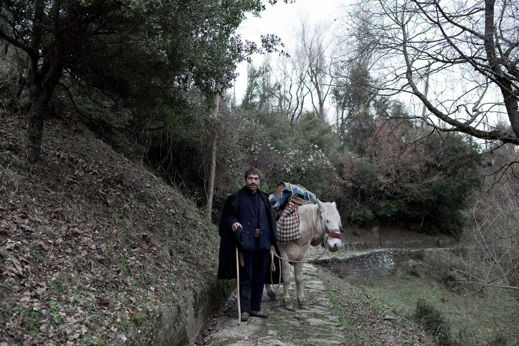 Muleteer | Metsovo Folk Art Museum